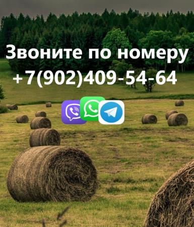 Дом на д/с в Камышлове по ул Железнодорожная снять в Камышлове на UniBO ...